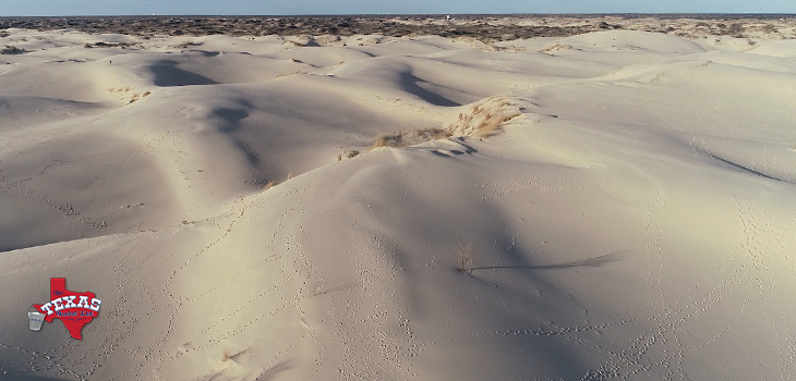 The Texas Bucket List – Monahans Sandhills State Park in Monahans – The ...