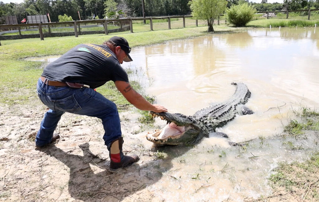 The Texas Bucket List – Gator Country in Beaumont – The Texas Bucket List