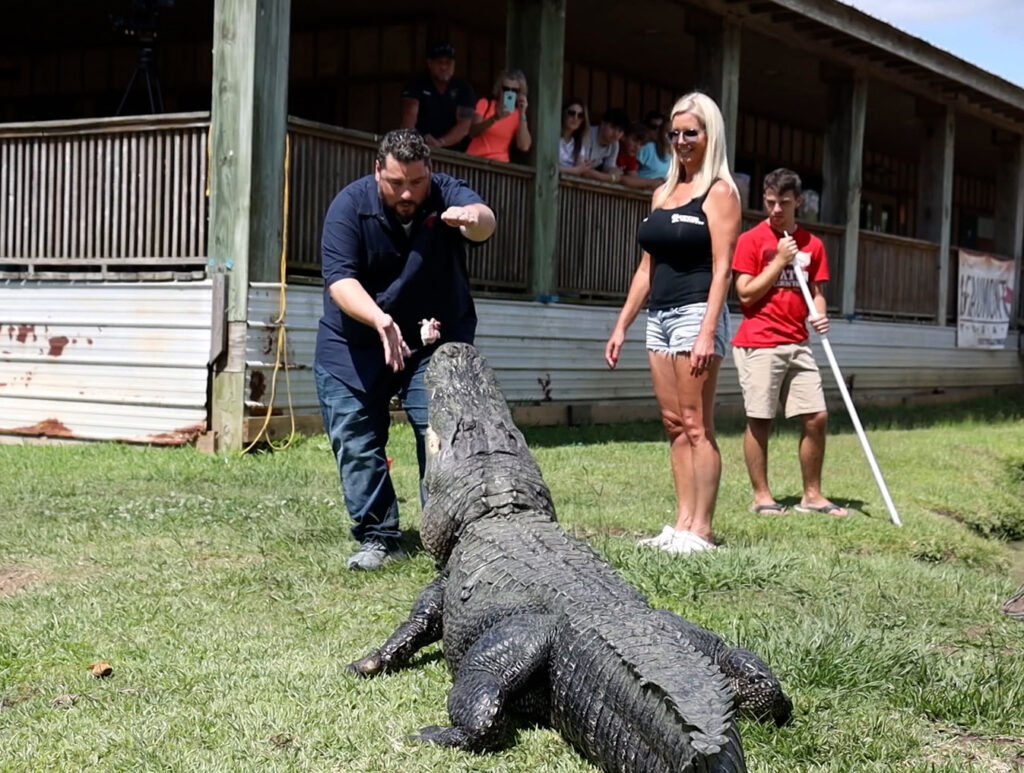 The Texas Bucket List – Gator Country in Beaumont – The Texas Bucket List
