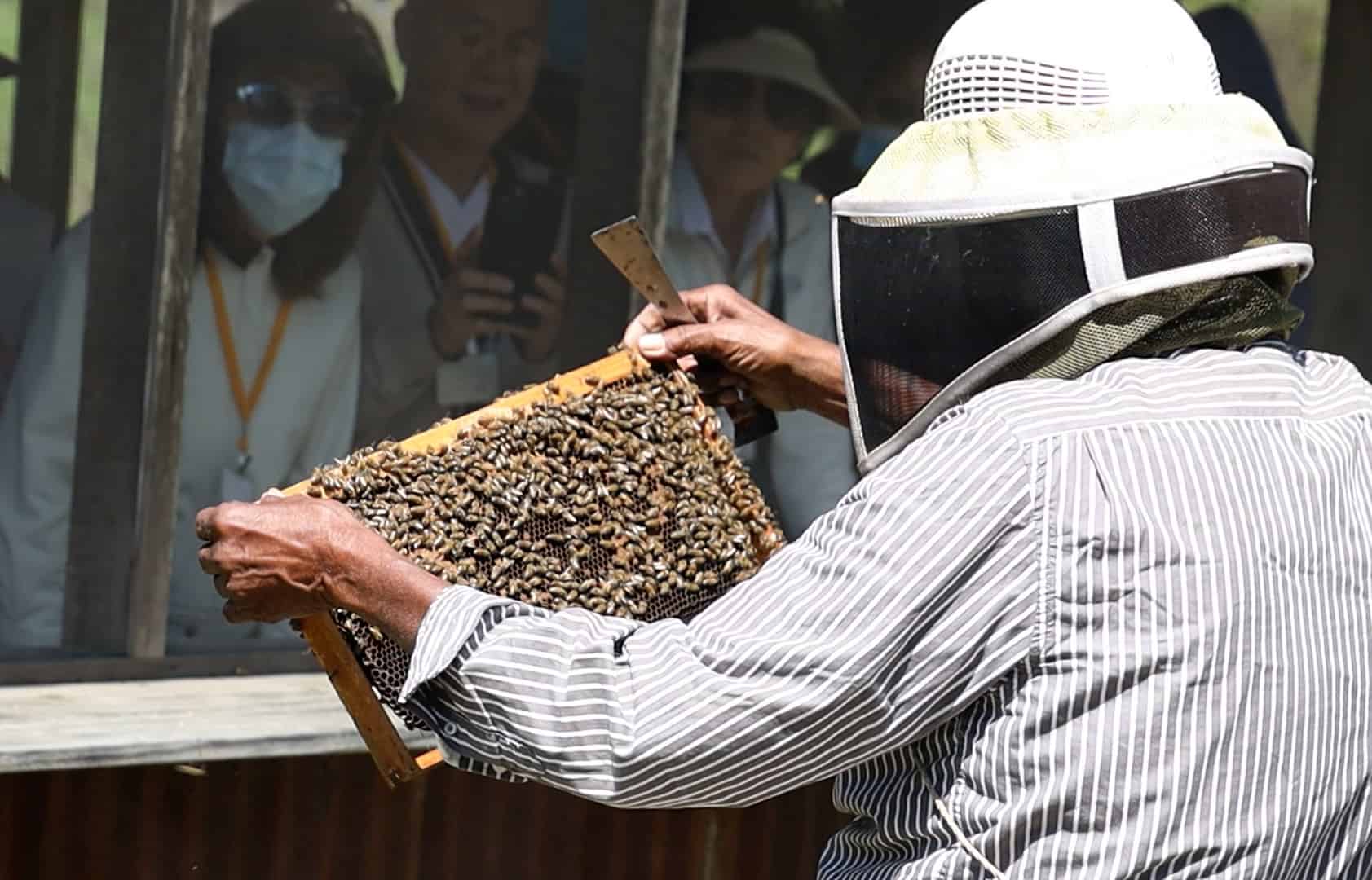 The Texas Bucket List – BeeWeaver Honey Farm in Navasota – The Texas ...