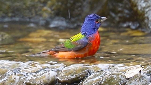 The Texas Bucket List – Hummer House in Christoval – The Texas Bucket List