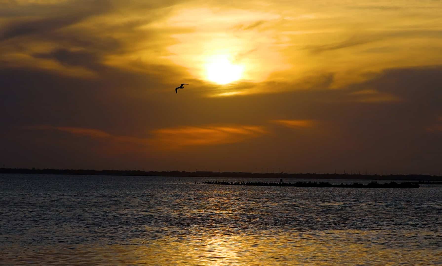 The Texas Bucket List – Snoopy’s Pier in Corpus Christi – The Texas ...