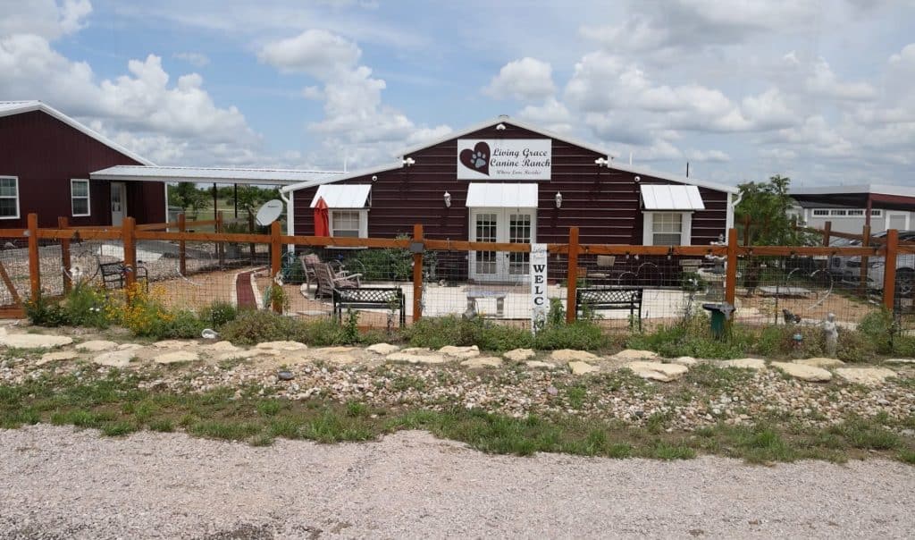The Texas Bucket List – Living Grace Canine Ranch in Bertram – The ...