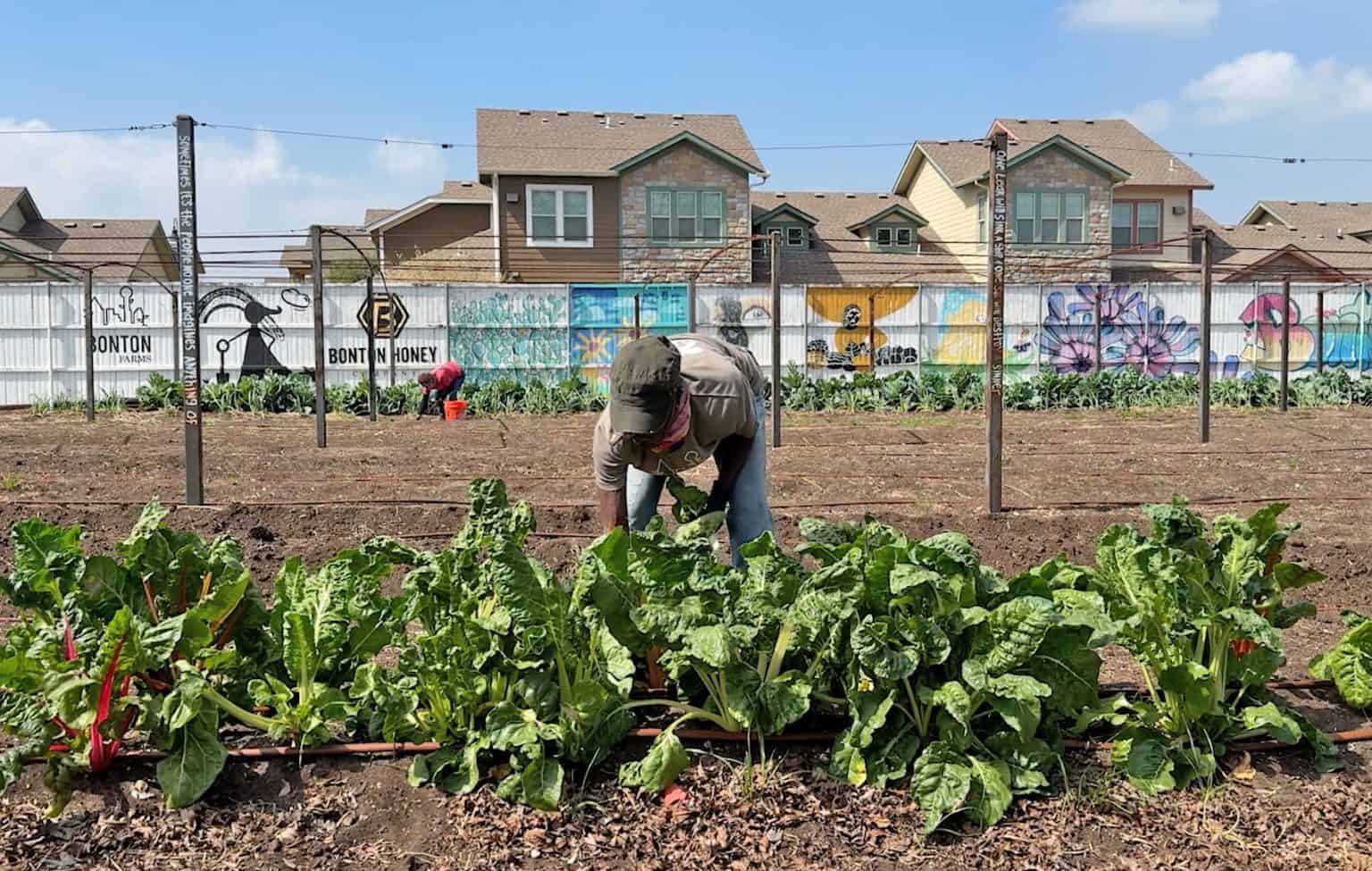 The Texas Bucket List – Bonton Farms in Dallas – The Texas Bucket List