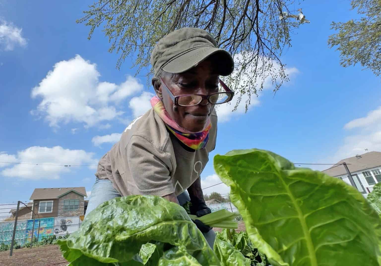 The Texas Bucket List – Bonton Farms in Dallas – The Texas Bucket List