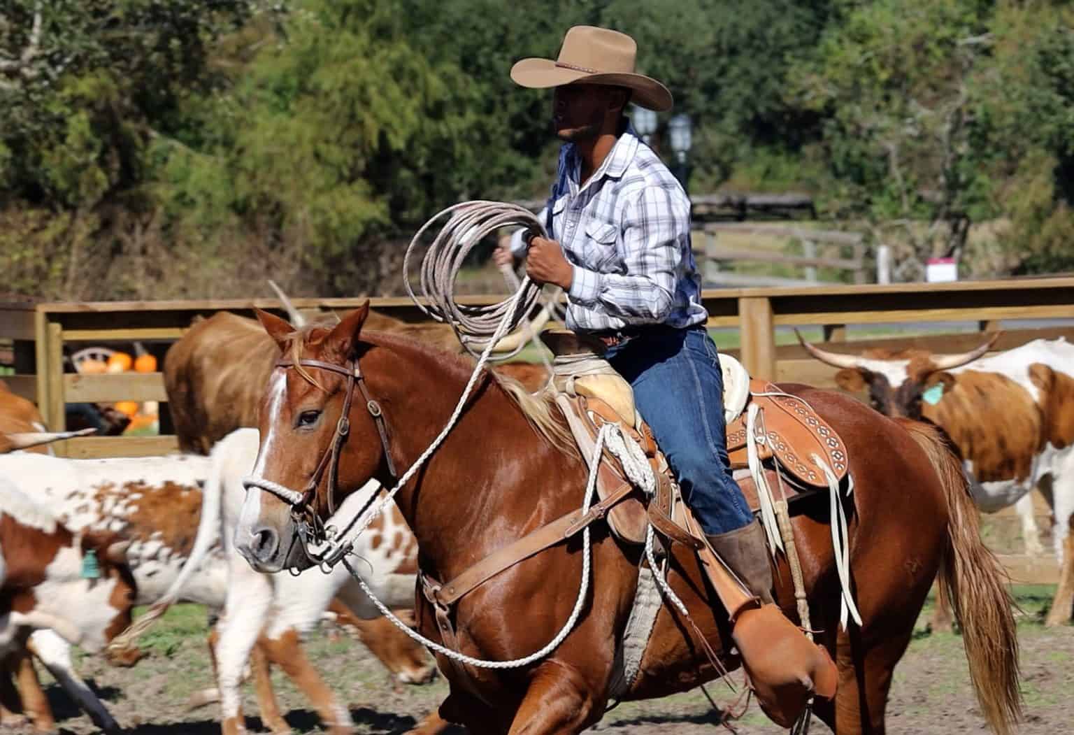 The Texas Bucket List – The George Ranch in Richmond – The Texas Bucket ...