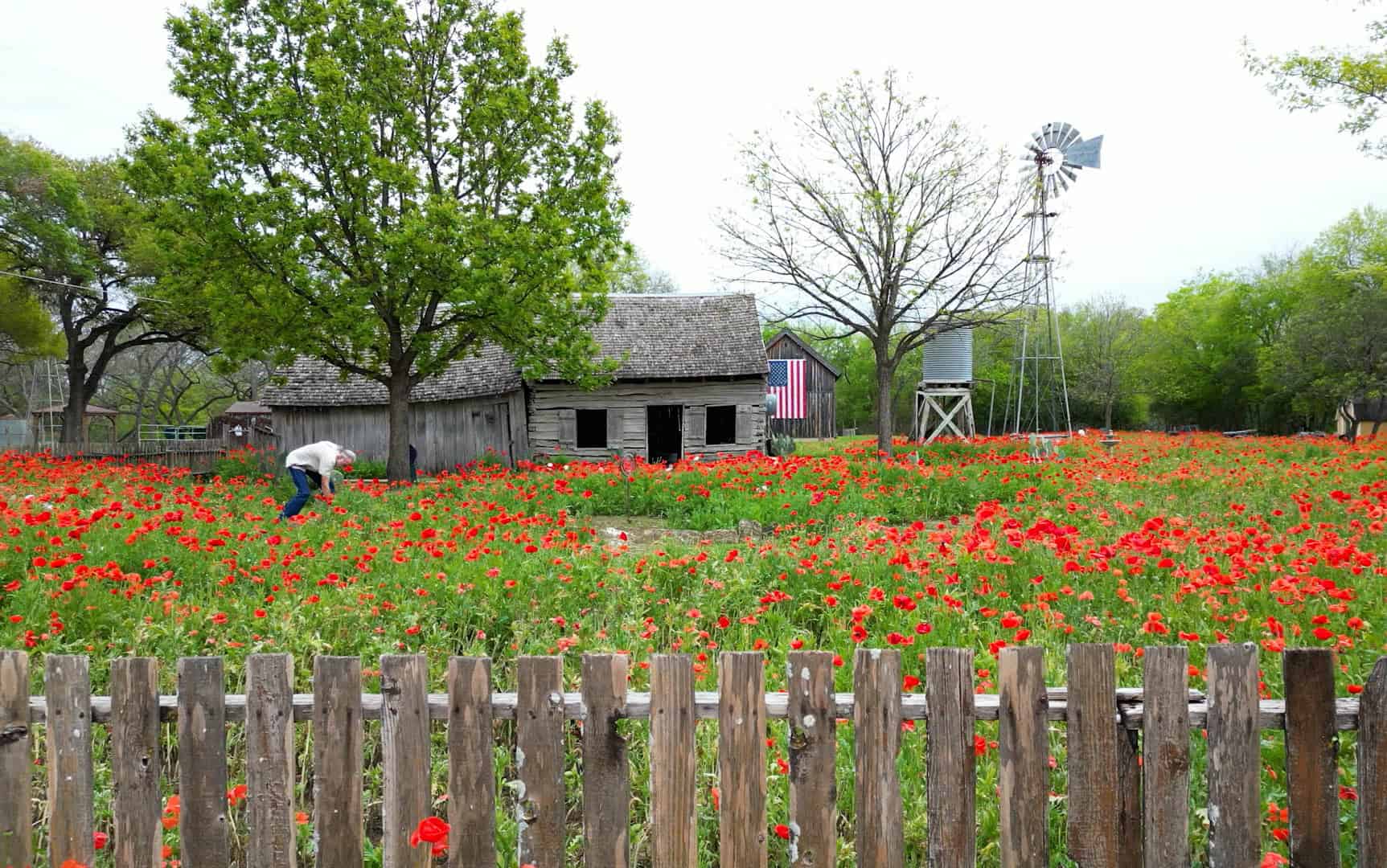 The Texas Bucket List – The Poppy House in Castroville – The Texas ...